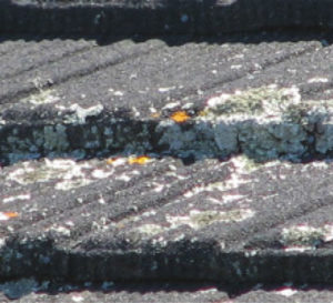 DURAPROOF Decramastic Tiles - DURAPROOF